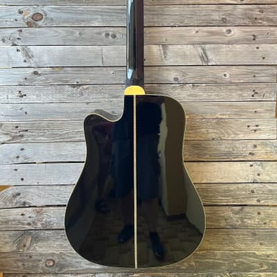 New Acoustic Guitar 12 Strings MSA CW1000 Country | Reverb Australia