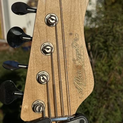 Alleva Coppolo LG5 Tom Barney 2020 - Wine Red Burst | Reverb