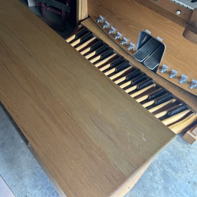 Rogers Alexandria Organ w/ 32-Note Negative Concave | Reverb