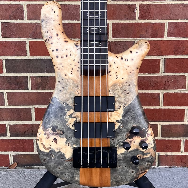 Spector USA NS-5XL, Buckeye Burl Top, Swamp Ash Body, Roasted | Reverb