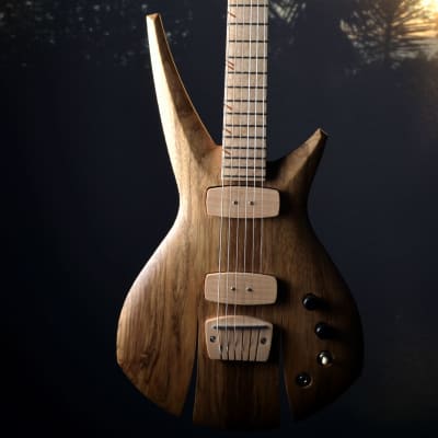 murray kuun F-type electric | Reverb