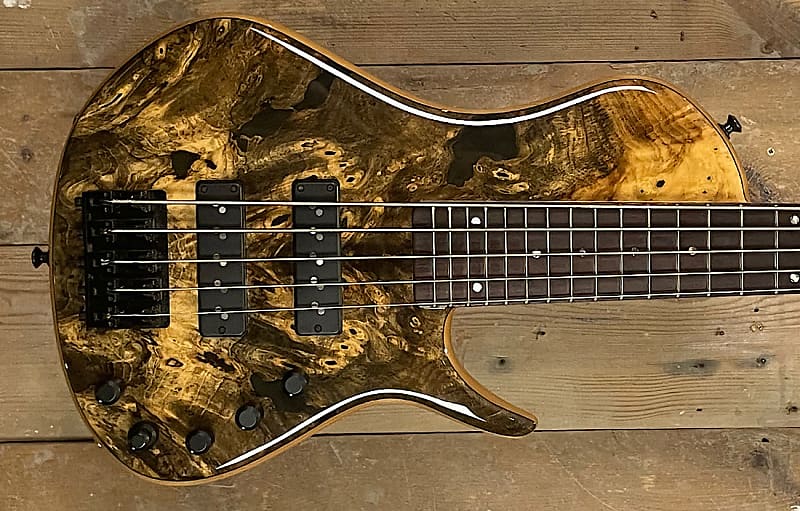 Shuker Single Cut 5 | Reverb