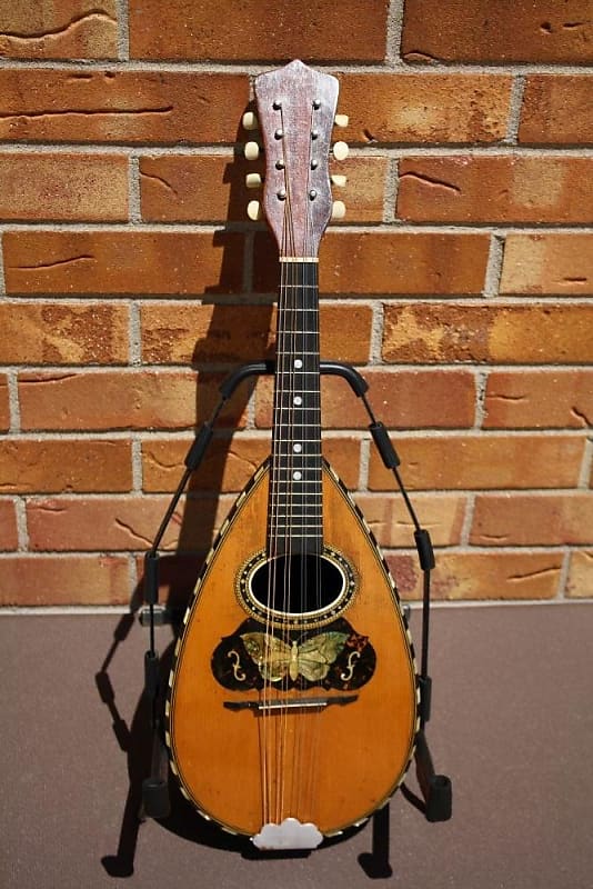 1920s Bowl Back Mandolin with leather case | Reverb