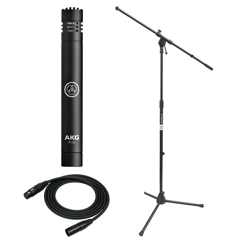 AKG P170 Professional Instrumental Microphone with Microphone | Reverb