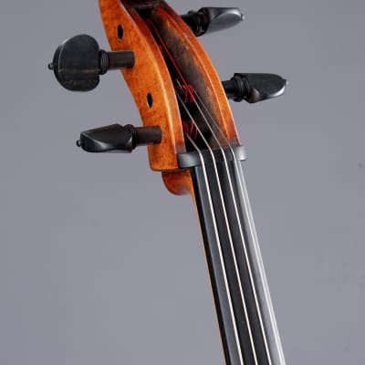 Marinos Glitsos cello, one-piece willow back, 2024, St. Paul, | Reverb