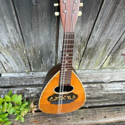 Lyon and Healy Italian Style Bowlback Mandolin Brazilian | Reverb
