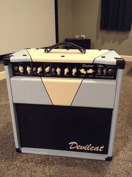 Devilcat Amplifiers Mr. Terry Combo Amp | Reverb