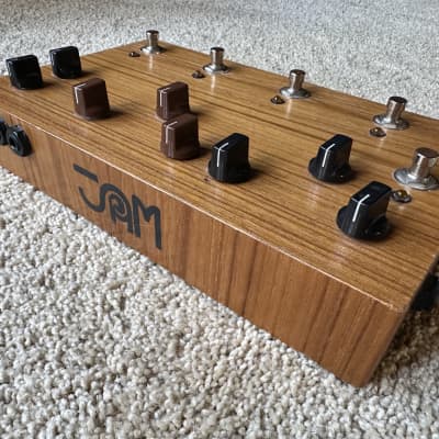 WEM Custom Copicat 1965 | Reverb