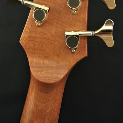 Harry Fleishman 'Dragonfly'. 1995 One of a Kind Acoustic | Reverb