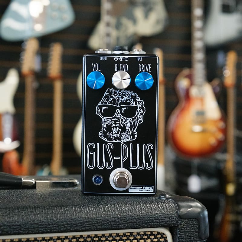 Summer School Electronics Gus Plus w/ Box (Excellent) *Free | Reverb