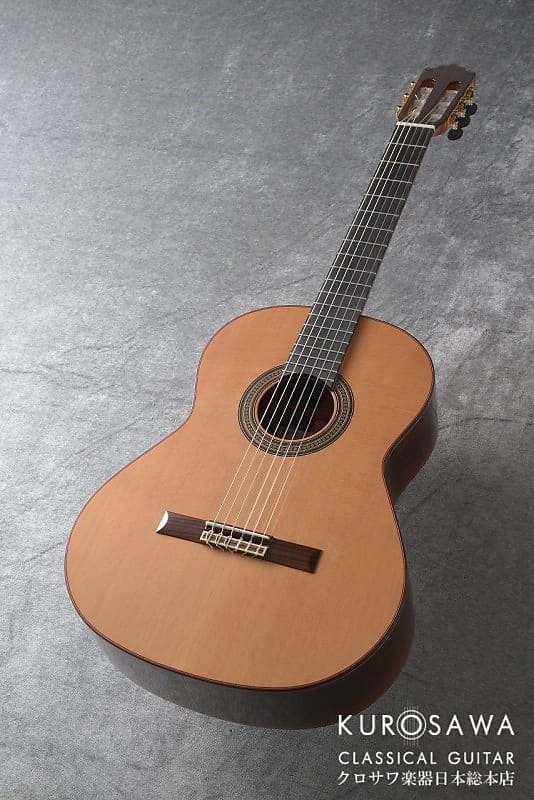 Paco Castillo Paco Castillo 240 Cedar ERosewood | Reverb