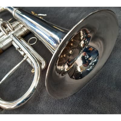 Flugelhorn Fliscorno Stomvi Elite | Reverb