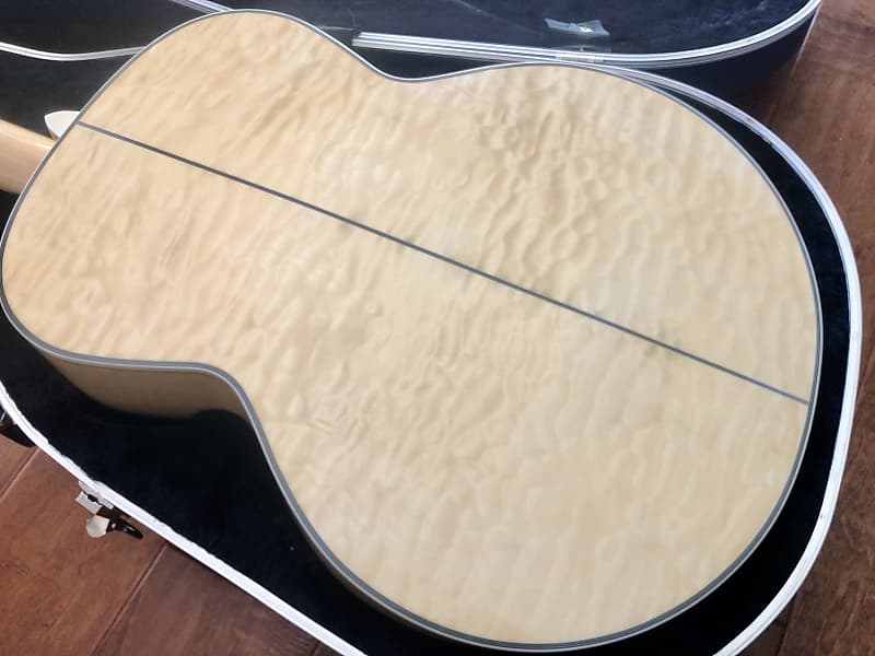 WASHBURN J28S12DLK 12 string with OHSC | Reverb