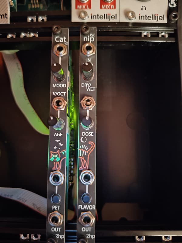 2HP CAT v2 and NIP (Catnip VCO and DSP effect modules) | Reverb