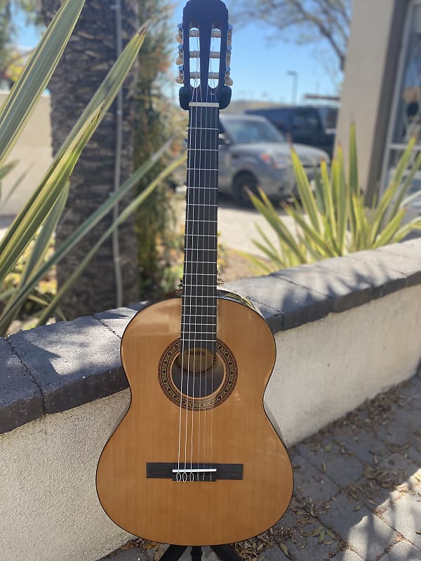 Sunlite Acustic Guitar | Reverb