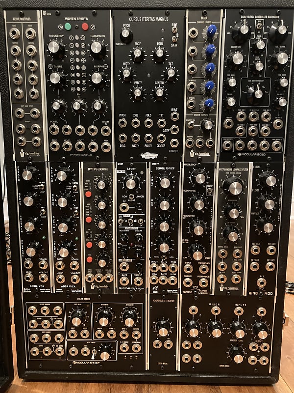 Moog Custom Moog 3p Style Mu American Format Modular Reverb