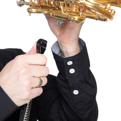 ErgoBrass ltd Ergobrass Drehventiltrompete | Reverb