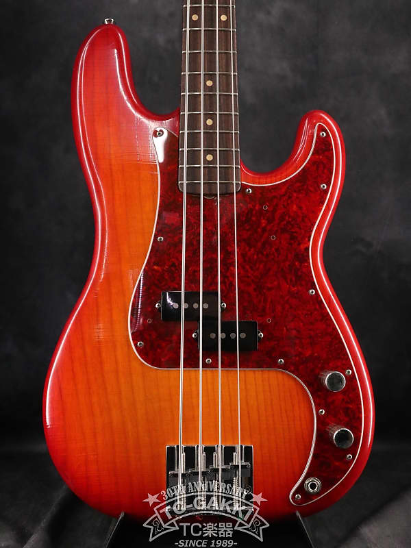 TMG Guitar 2023 STETSON | Reverb