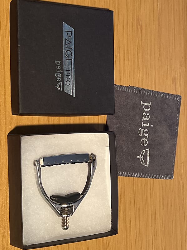 Paige Pro PP-6-ETI - Stainless steel | Reverb