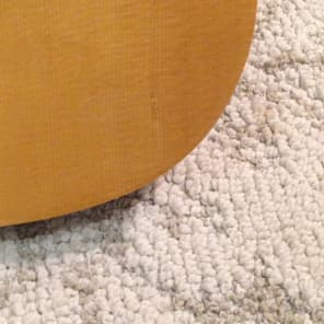 Fernandes P-Project 1998-99 AI-N Nylon Electric-Acoustic | Reverb