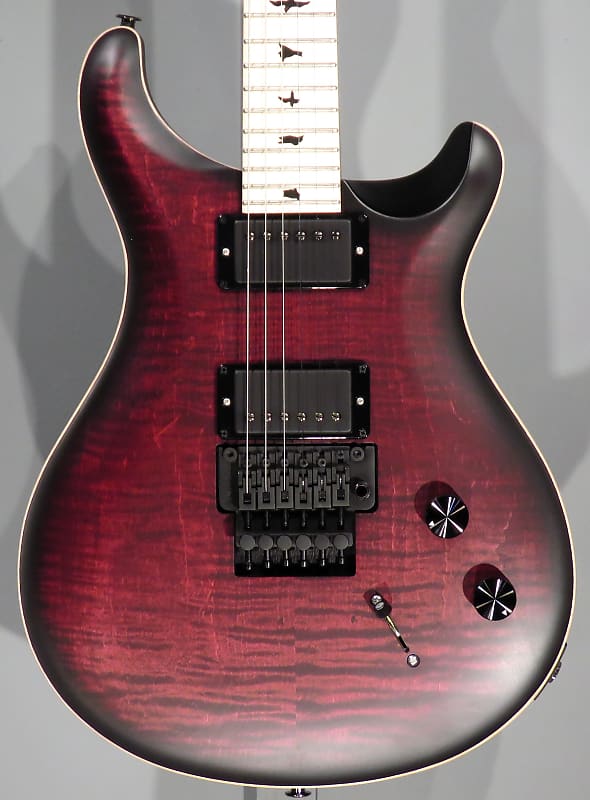 PRS DW CE 24 “Floyd” 2023 - Waring Burst w/Gig Bag | Reverb