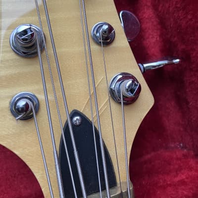 Rogue 8-String Bass 2000s Natural Flame Maple w/Hard Case | Reverb