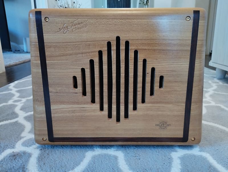 Jay Turser Classic 25RC Amplifier - Wood and Tweed | Reverb