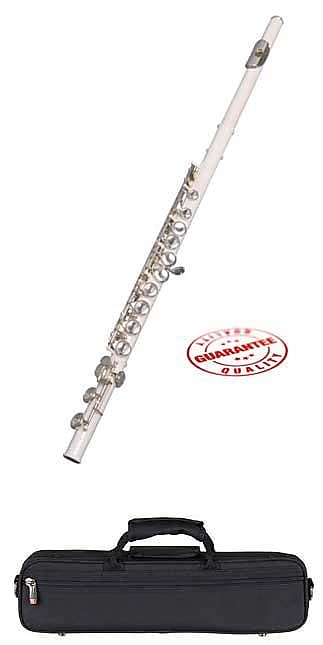 Hawk Color Closed Hole C Flute White with Case | Reverb