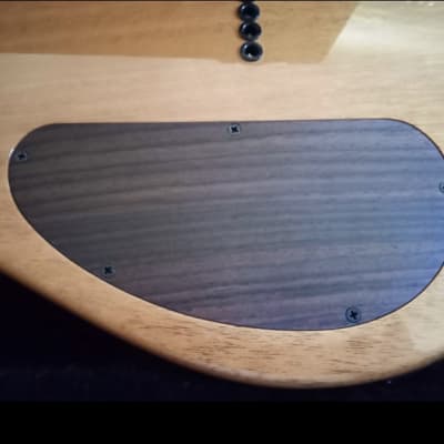 Kiesel CT6 24 w tons of pro upgrades w all new electronics | Reverb