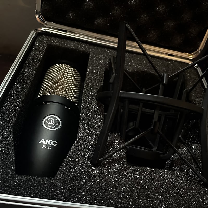 AKG P220 Studio Condenser | Reverb