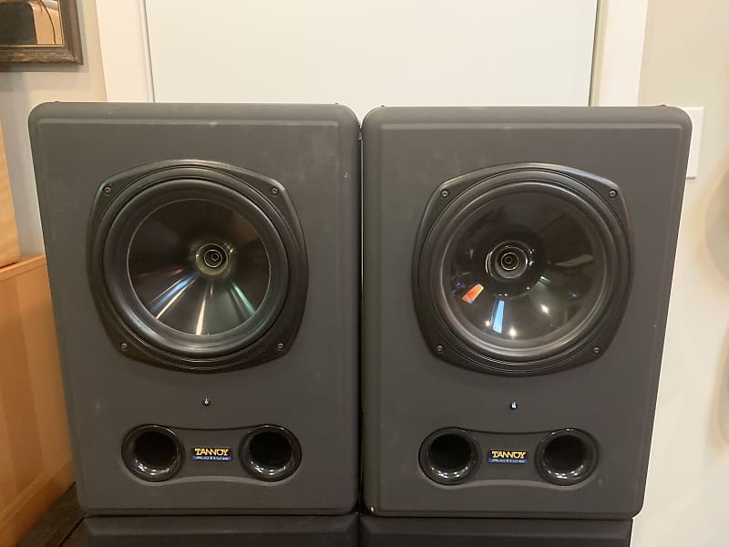 Tannoy AMS10 late 1990's - grey | Reverb