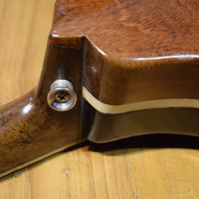 The Dayton Style B mandolin 1910s - black | Reverb Deutschland