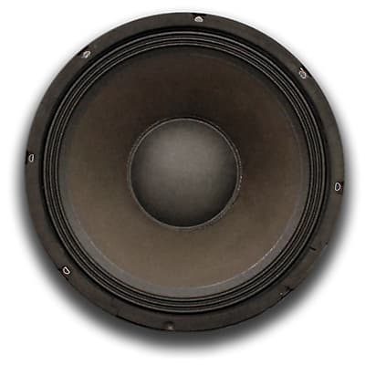 12" Raw Woofer/Speaker PA/DJ Pro Audio 16 ohm replacement | Reverb