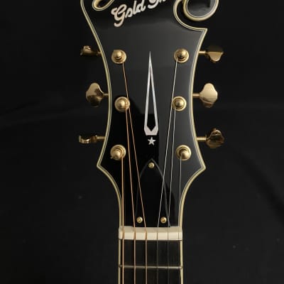 Gold Tone F-6+ Mando-Guitar 6-String Mandolin w/pickup, | Reverb