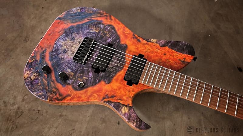 Cerberus Guitars USA Hermes 7 String Tele | Reverb