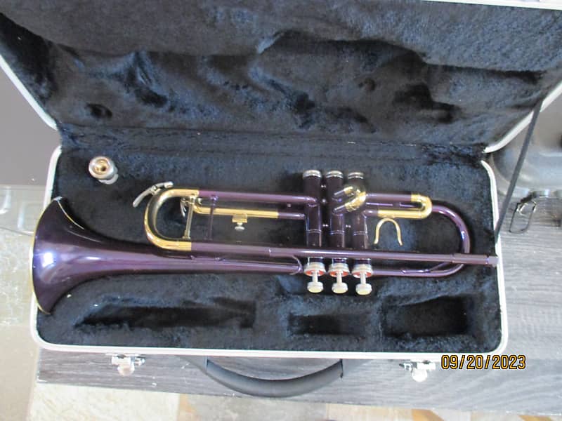 Trumpet, Purple color. with case and mouthpiece. Bell | Reverb
