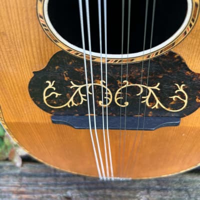 Lyon and Healy Italian Style Bowlback Mandolin Brazilian | Reverb