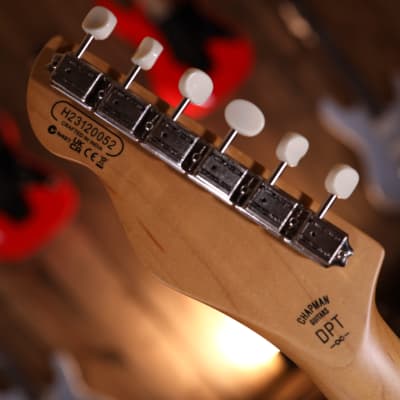 Chapman Peter Honore Signature DPT Fall Yellow 0052 | Reverb