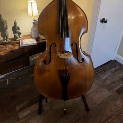 Shen SB 200 willow 3/4 flatback 2016-2017 - Natural | Reverb