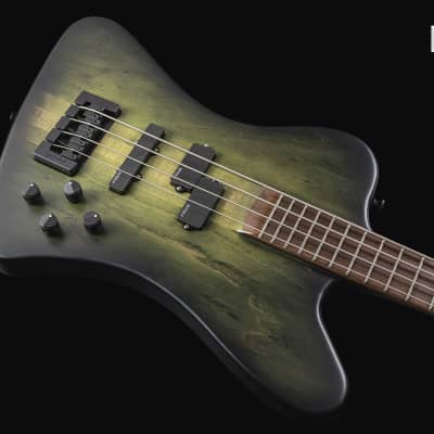 Spector NS-2X XL Haunted Moss EMG Neck-Thru 4 String Bass NEW | Reverb