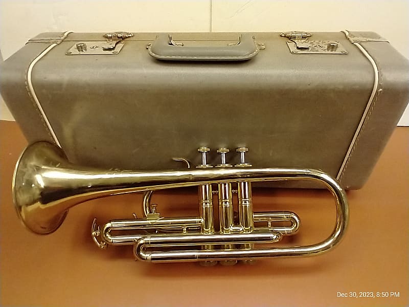 York Senator Cornet | Reverb