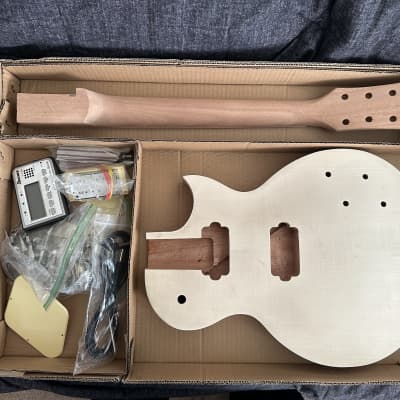 Les Paul DIY guitar kit | Reverb UK