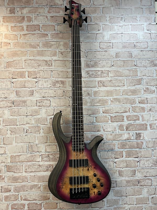 Schecter Riot-5 5 String Bass Guitar (Nashville, Tennessee) | Reverb