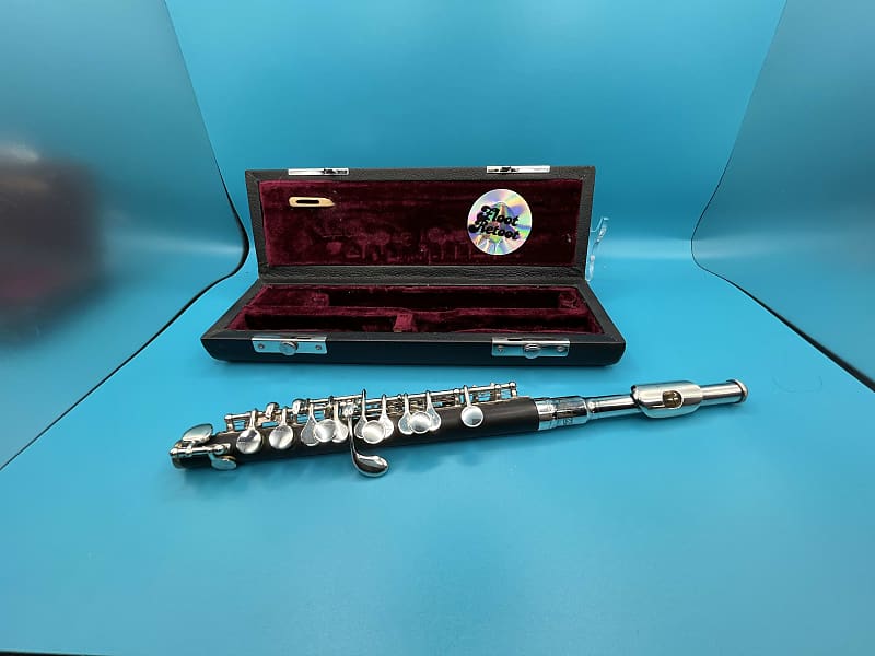 Allora Piccolo-Nickel Plated and Resin | Reverb