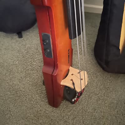 Azola Bug bass 5 string | Reverb