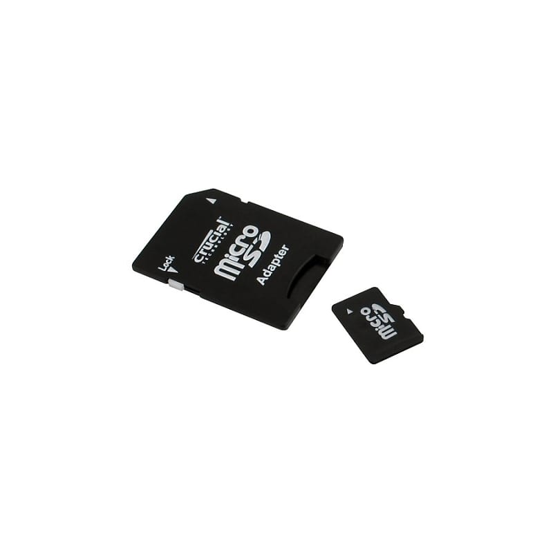Crucial 4GB micro SDHC Flash Card 4 GB Micro Flash Card | Reverb