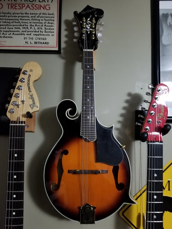 New York Pro Mandolin F Style | Reverb
