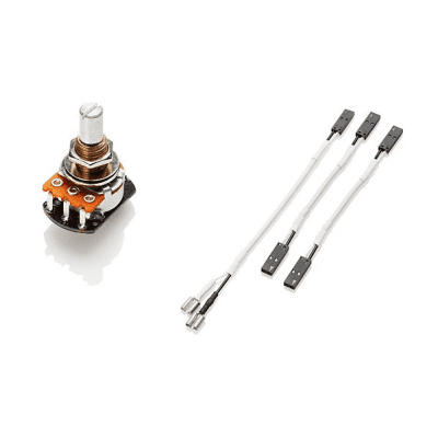 Yorkville Eden Master Volume Pot for WT800 World Tour bass | Reverb