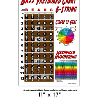 New Song 5 String Bass Fretboard Instructional Chart Poster | Reverb