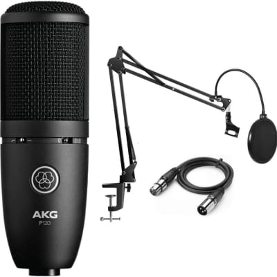 AKG P120 High-Performance General Purpose Recording | Reverb